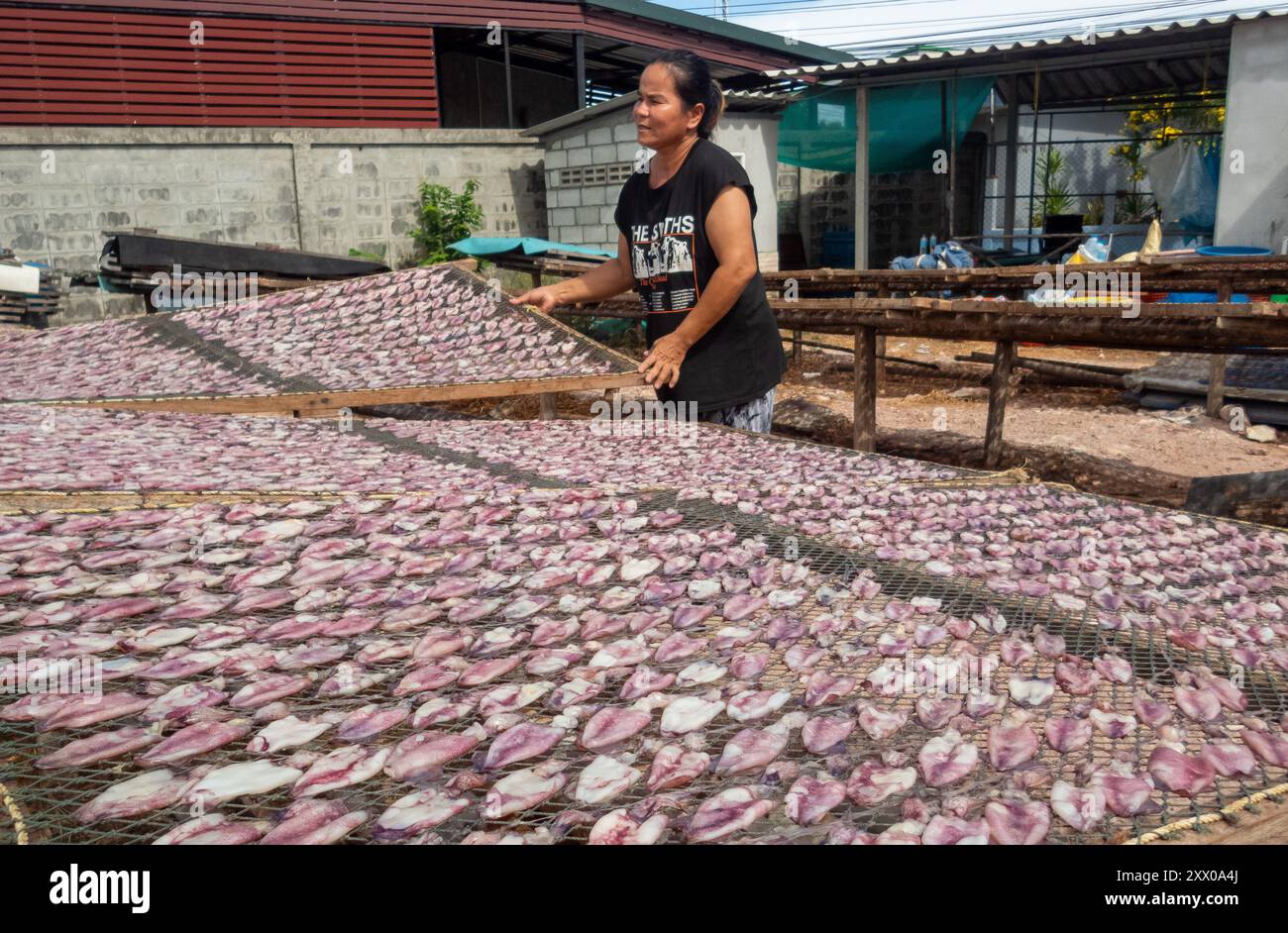 A woman seen inspecting squid laid out on a mesh net, following the ...