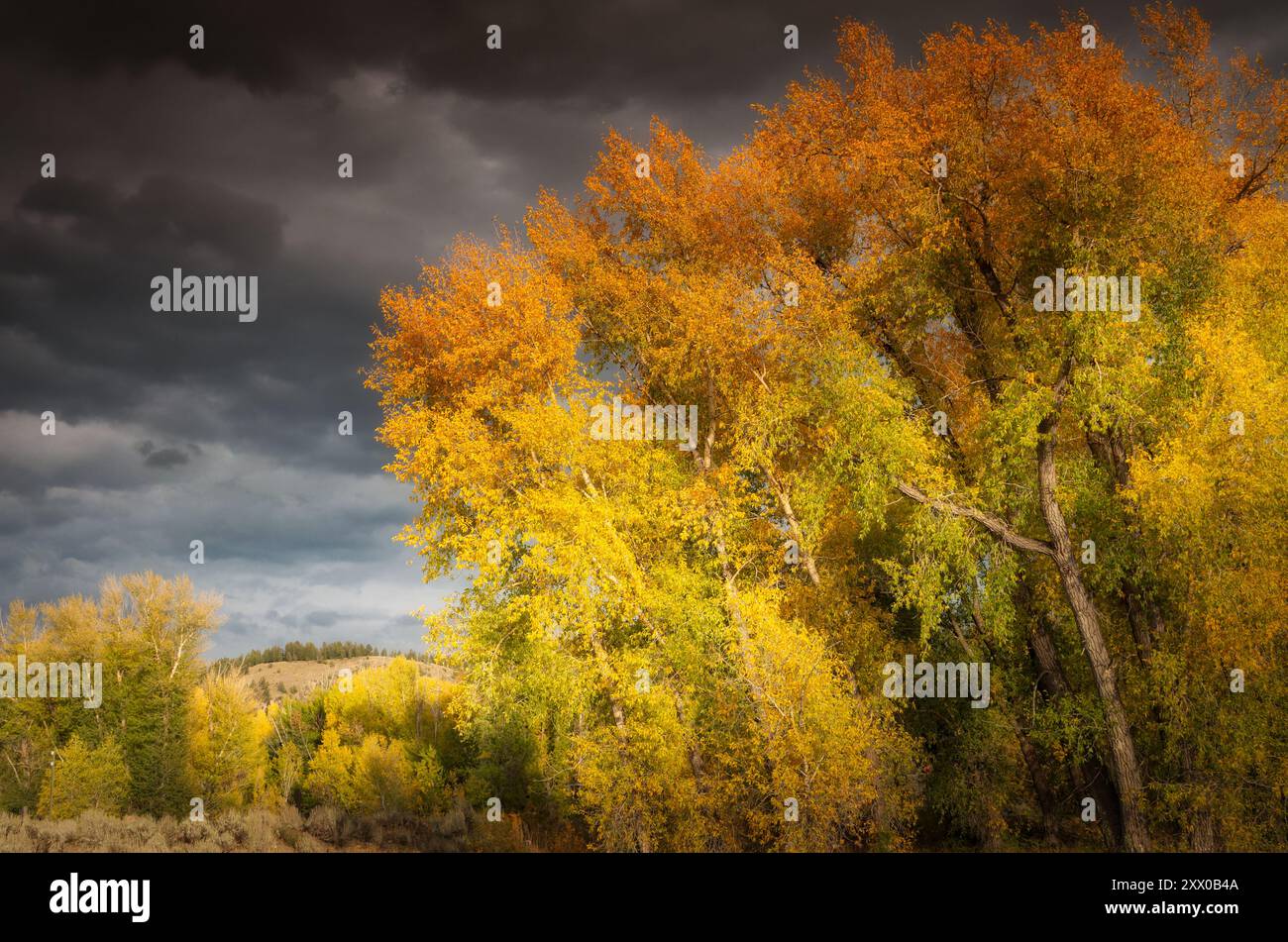 Jackson hole weather hi-res stock photography and images - Alamy