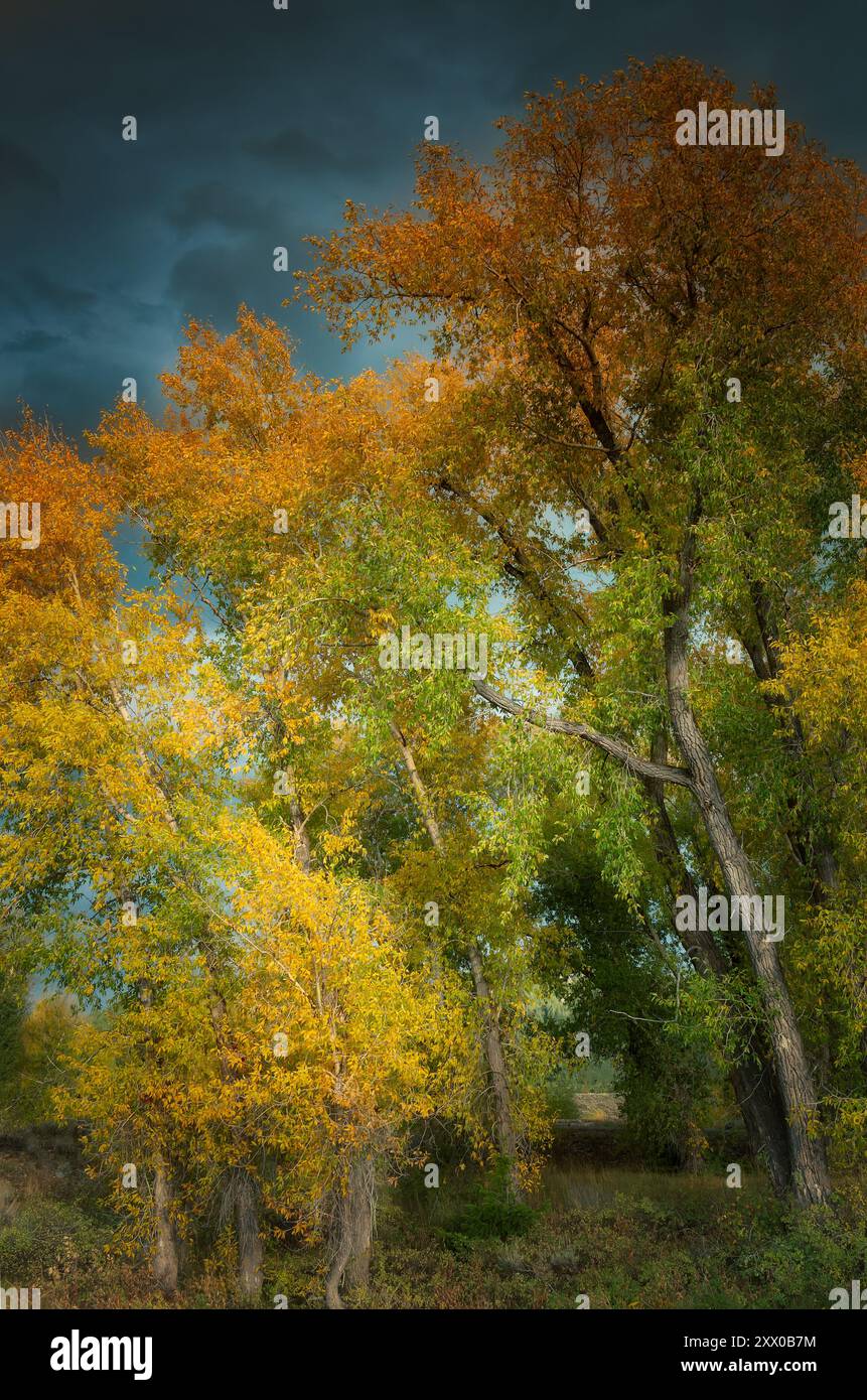 Fall Colors Grand Tetons Stock Photo - Alamy