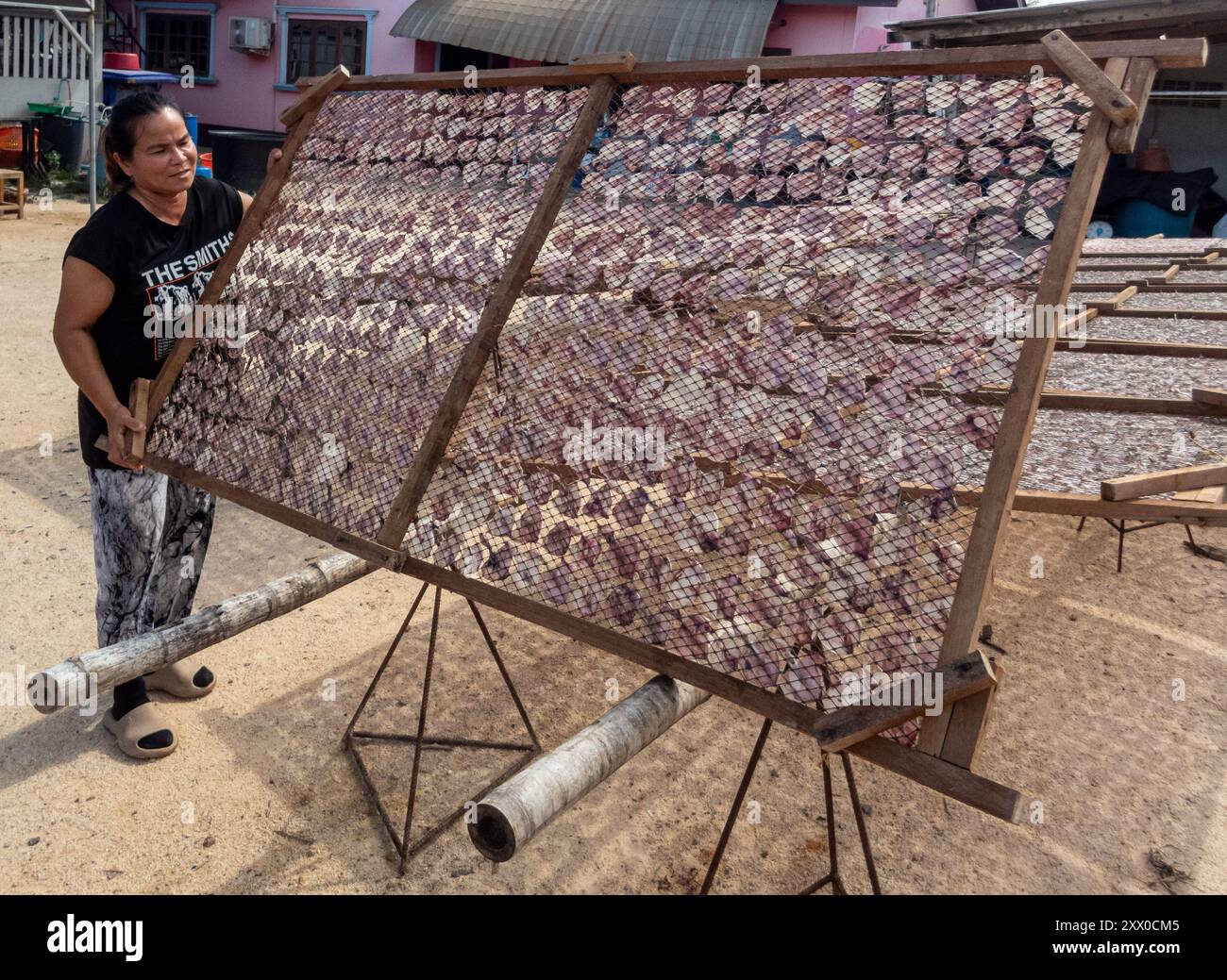 Chonburi, Thailand. 21st Aug, 2024. A woman seen inspecting squid laid ...