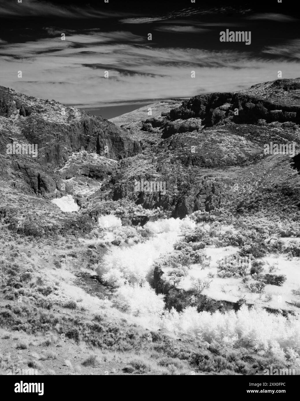 Rush Creek canyon in the Smoke Creek Desert of Washoe County Nevada ...