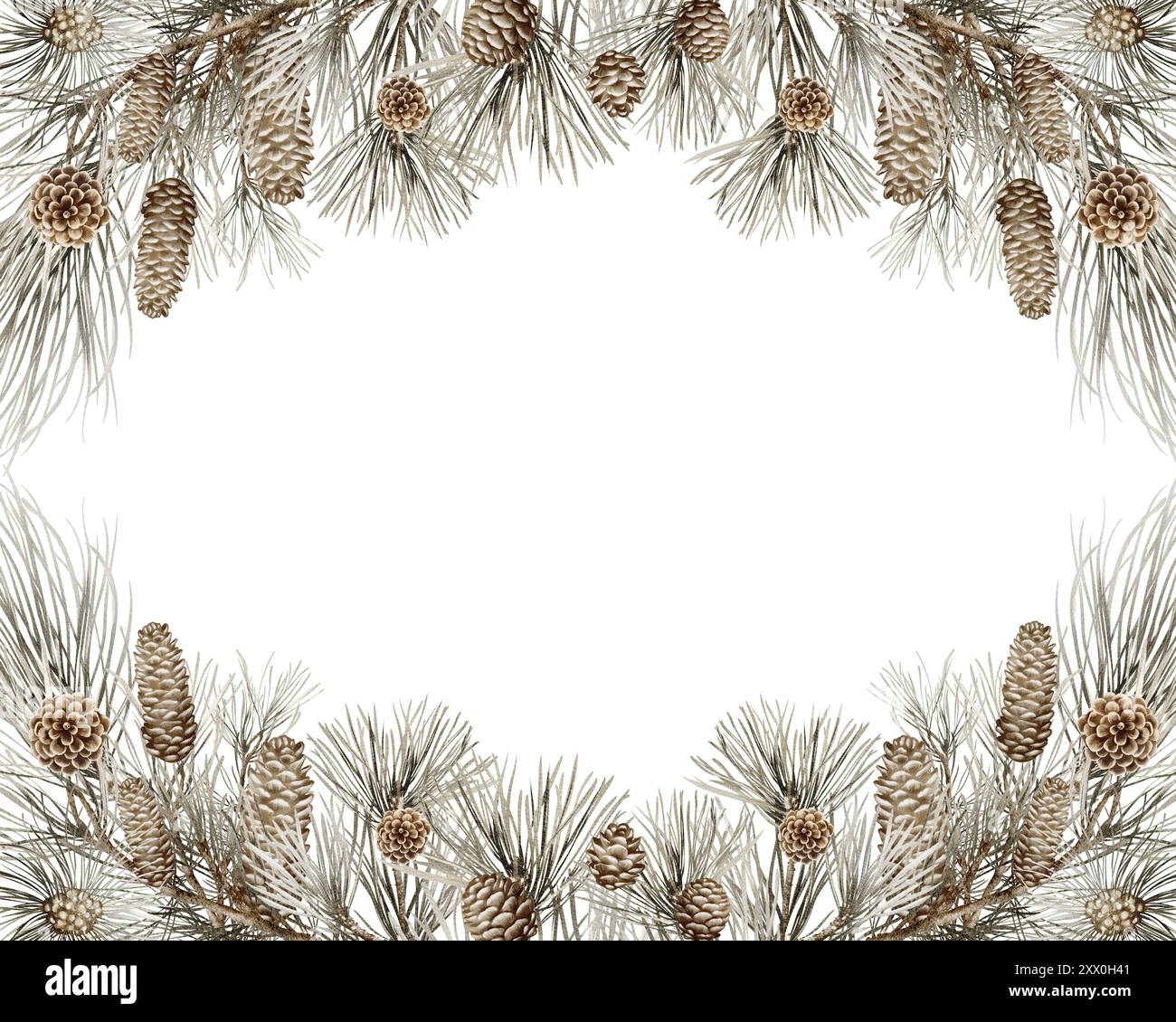 Christmas Watercolor Horizontal Spruce Frame. Pine branches and cones ...