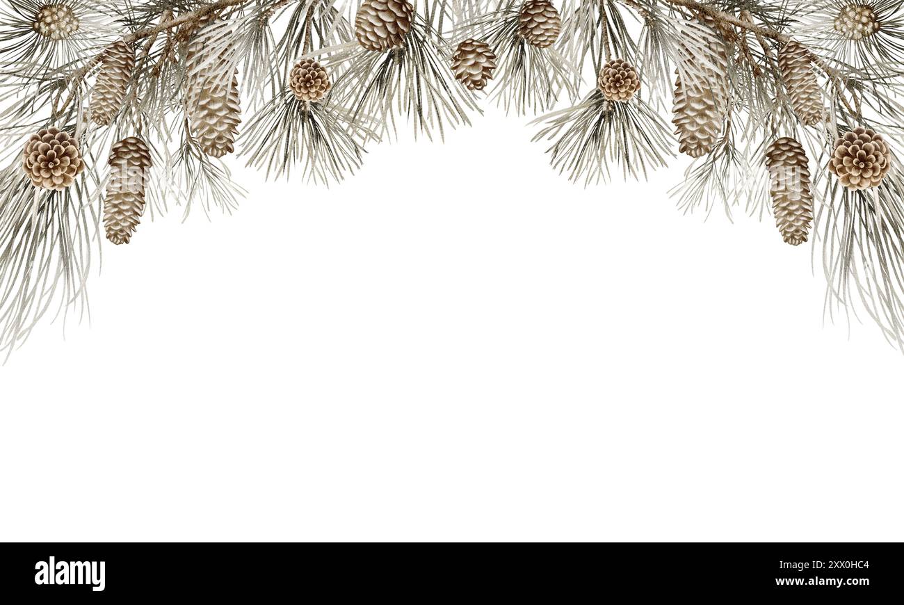 Christmas Watercolor Horizontal Spruce Frame. Pine branches and cones ...