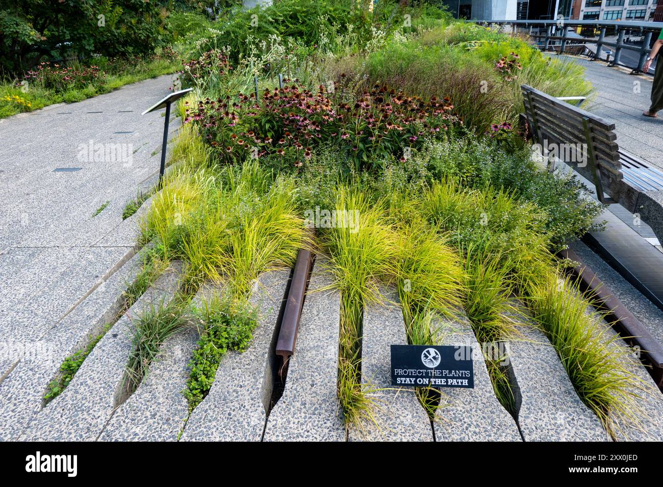 Sign "Protect the Plants, Stay on the Path" in front of plantings on ...