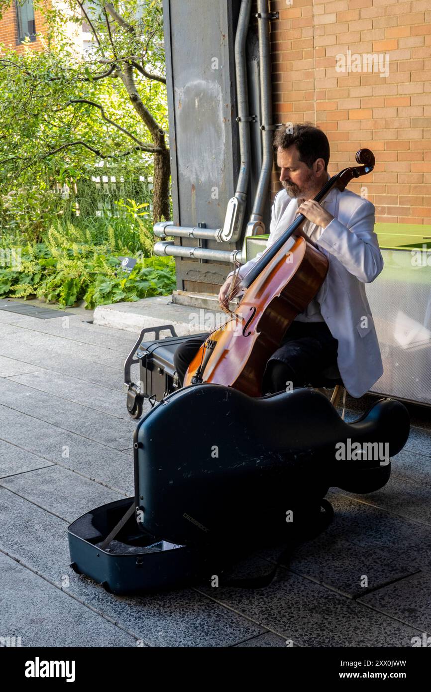 Cellist Erik Jacobson busking on the High Line, New York City, NY, USA ...