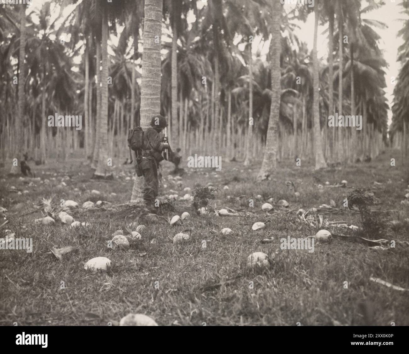 World war ii camouflage uniform hi-res stock photography and images - Alamy