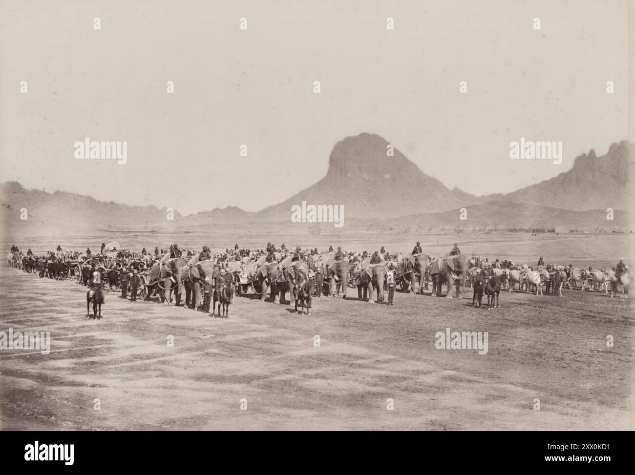 Vintage photo of Second Anglo-Afghan War. Elephant Battery on the March ...