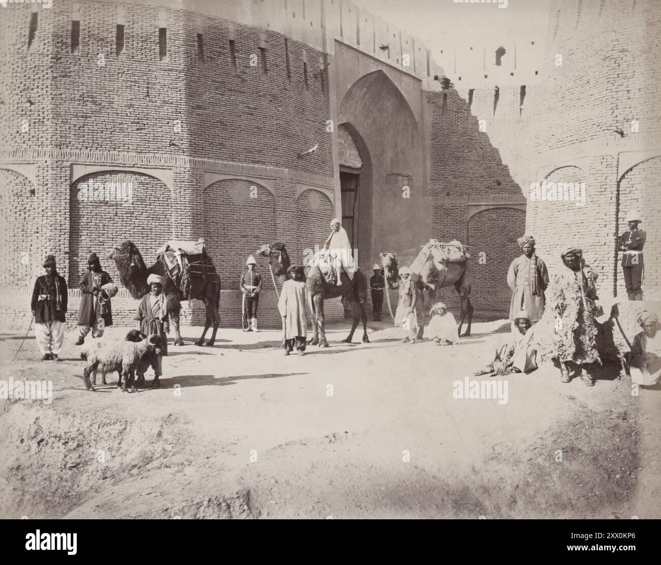 Second Anglo-Afghan War. Vintage photo of camel caravan near the ...