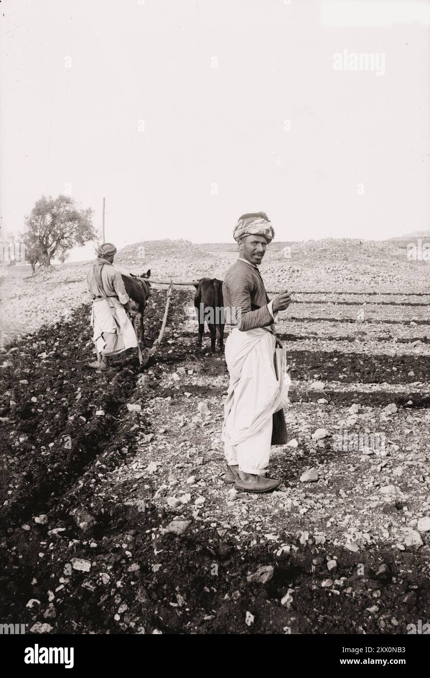 Life in Palestine in the early 20th century. Palestinian fellahs ...