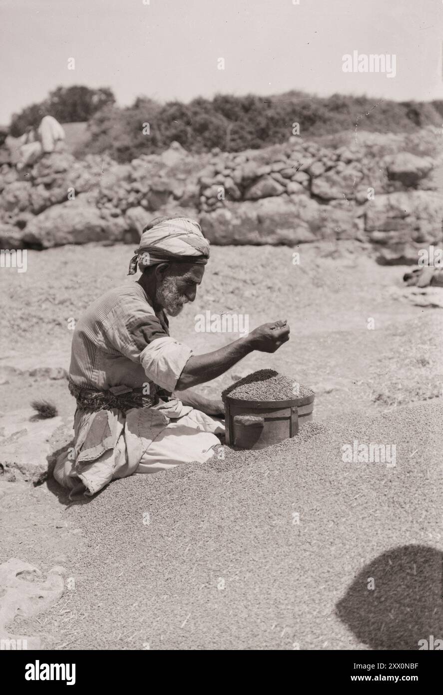 Life in Palestine in the early 20th century. Elderly palestinian fellah ...