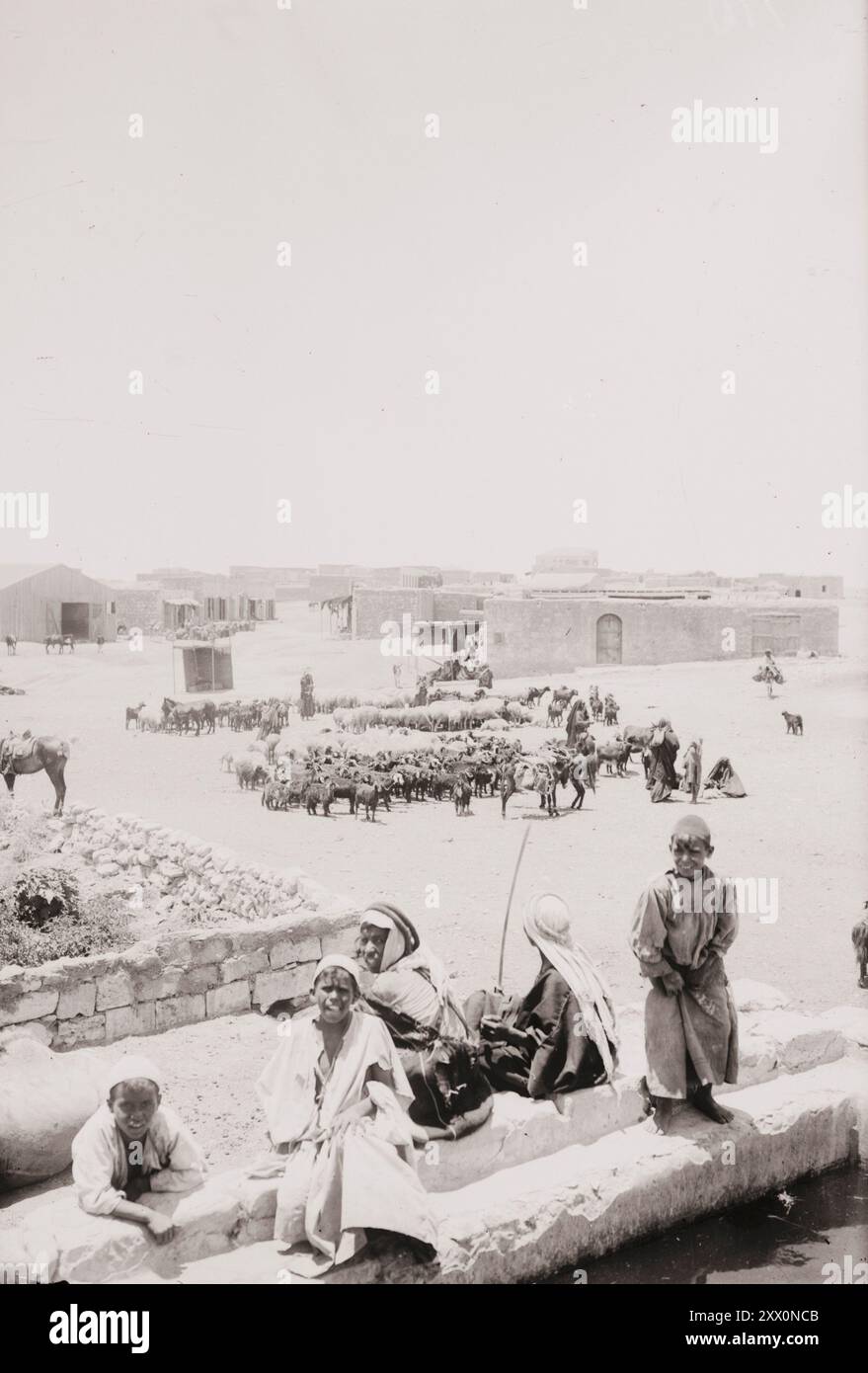 Life in Palestine in the early 20th century. Southern Palestine ...