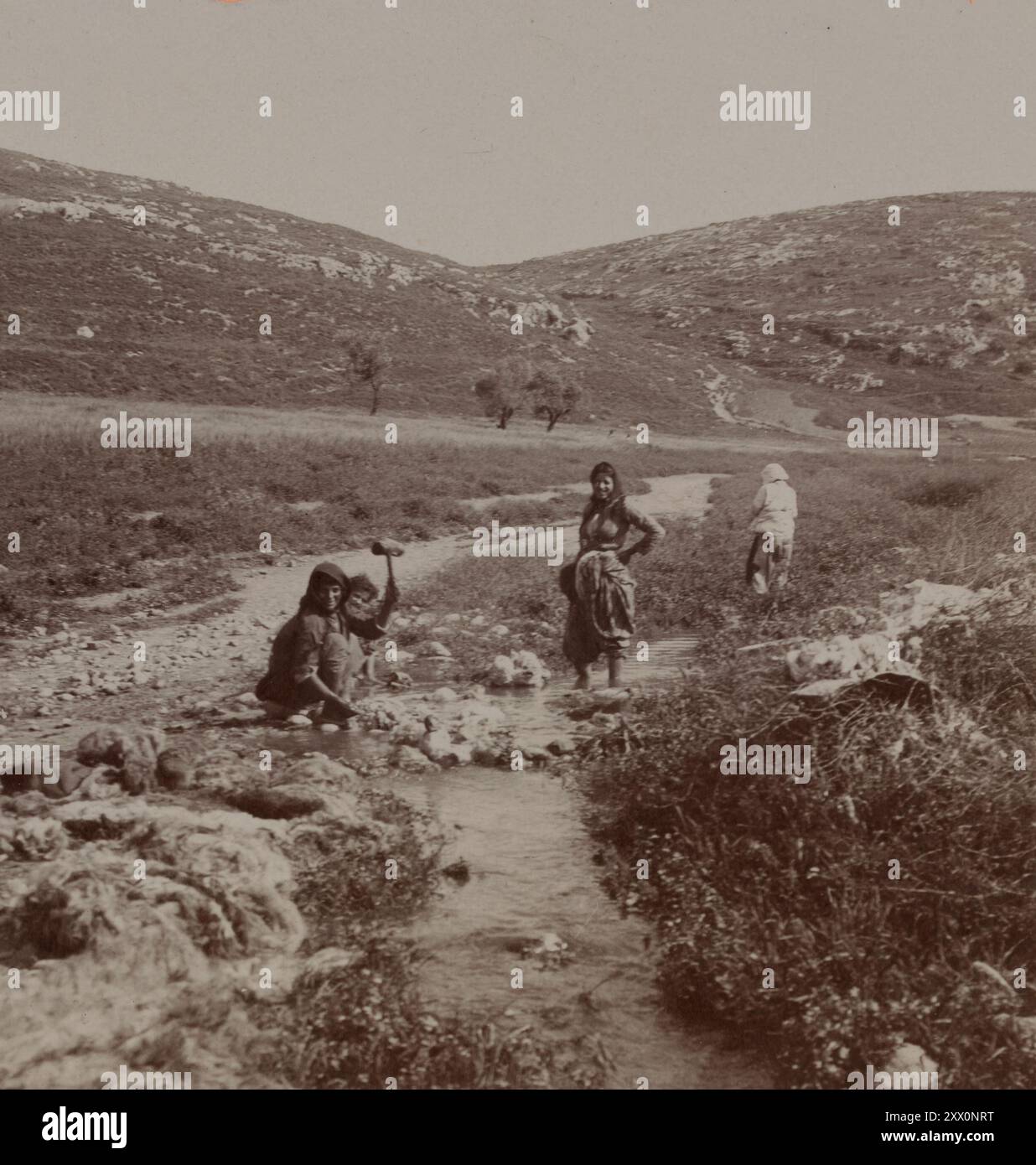 Life in Palestine in the early 20th century. Native women washing wool ...