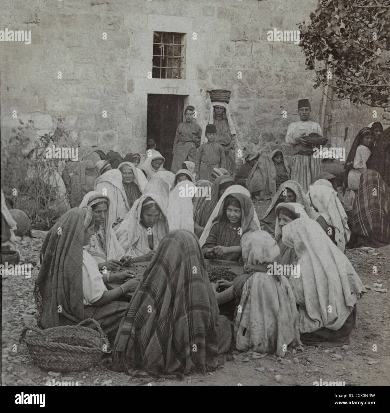 Life in Palestine in the early 20th century. Women sorting raisins ...