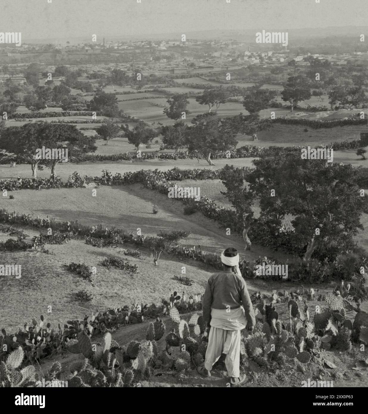Life in Palestine in the early 20th century. Gaza, lowland stronghold ...