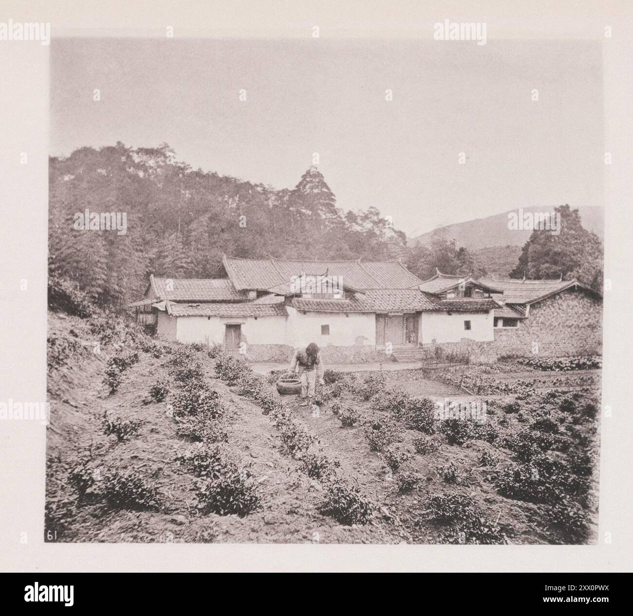 Stell supplies hi-res stock photography and images - Alamy