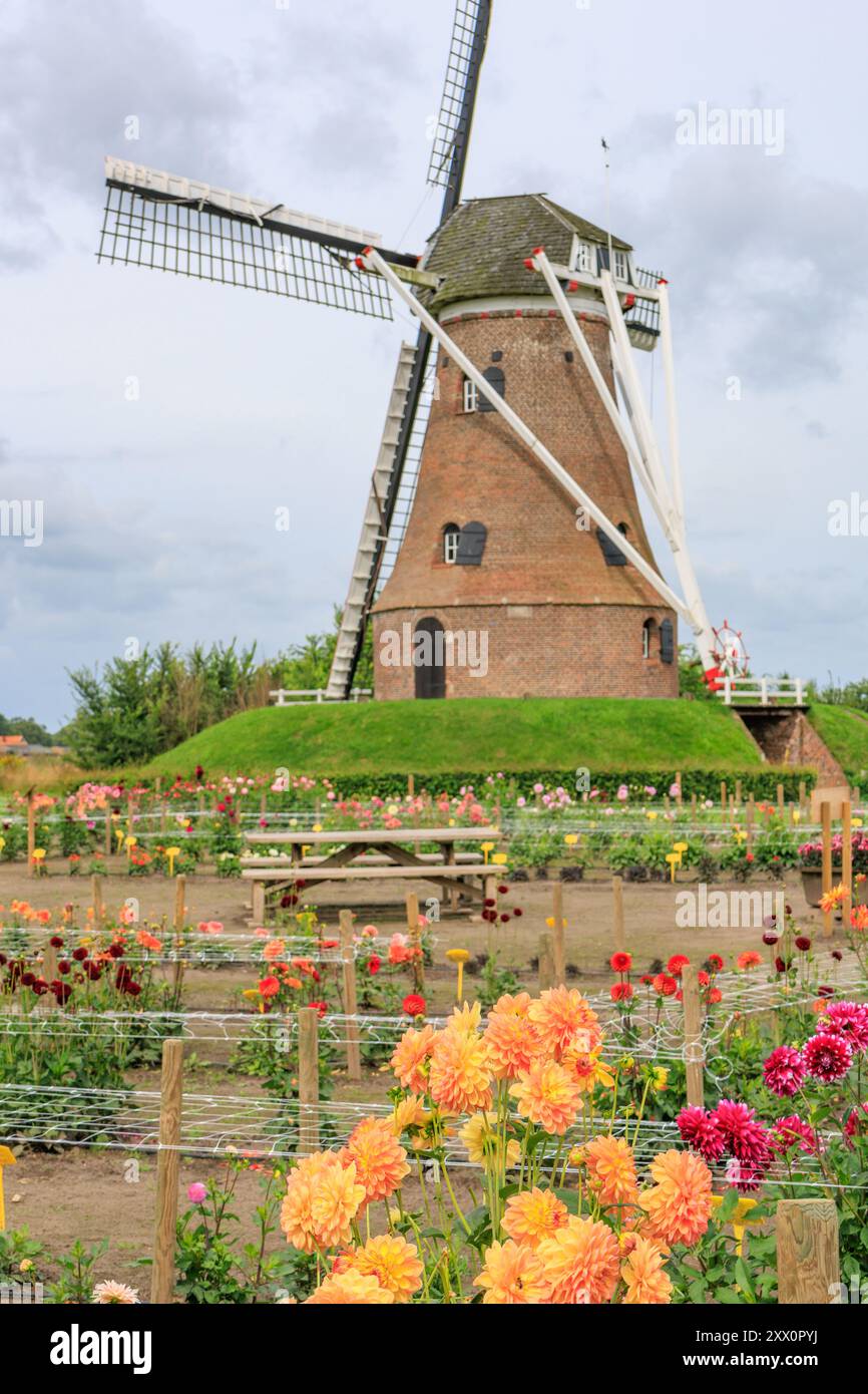 eibergen in the netherlands Stock Photo - Alamy