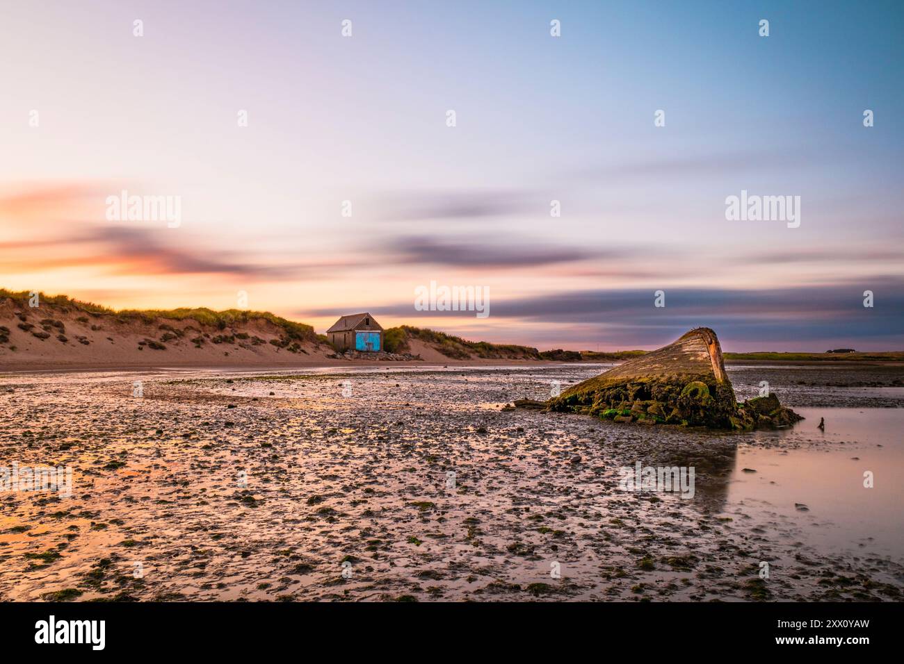 Newburgh seals beach hi-res stock photography and images - Alamy
