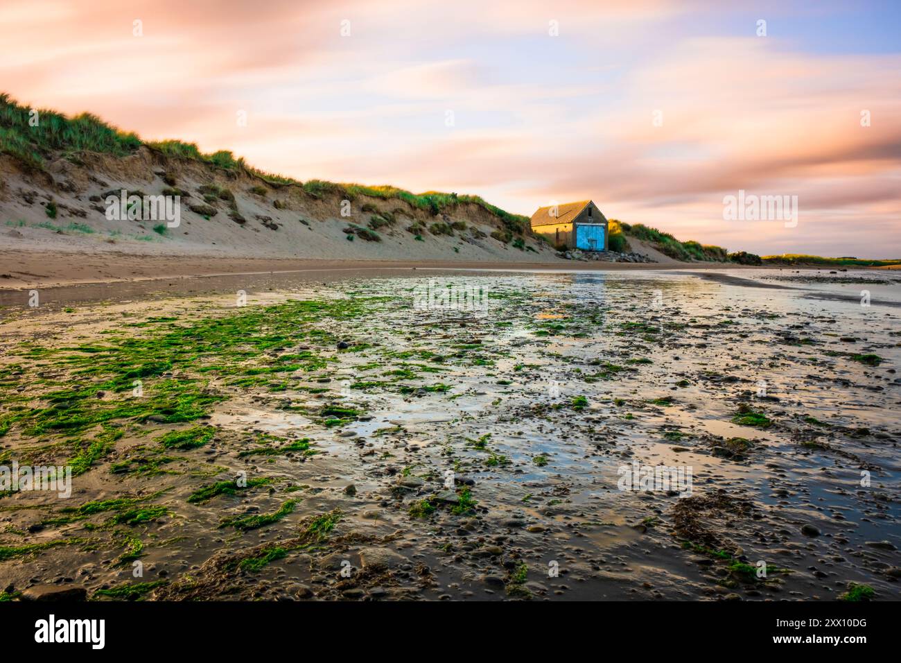 Seals scotland beach hi-res stock photography and images - Alamy