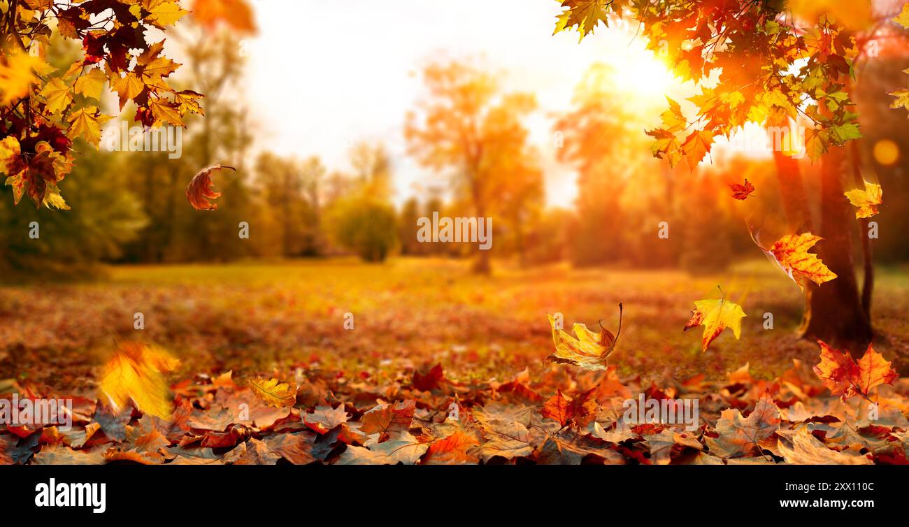 Outdoor leaf landscape hi-res stock photography and images - Alamy