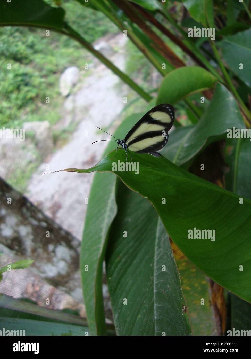 Scada hi-res stock photography and images - Alamy