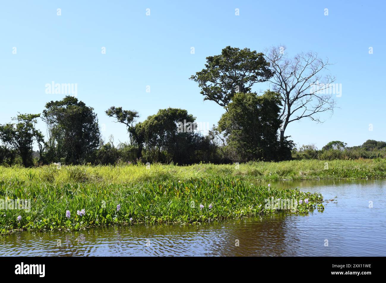 Worlds largest wetland hi-res stock photography and images - Alamy