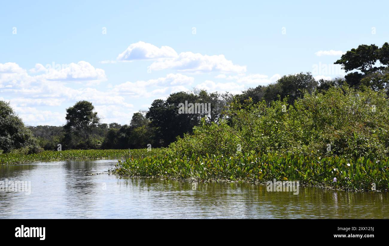 Worlds largest wetland hi-res stock photography and images - Alamy