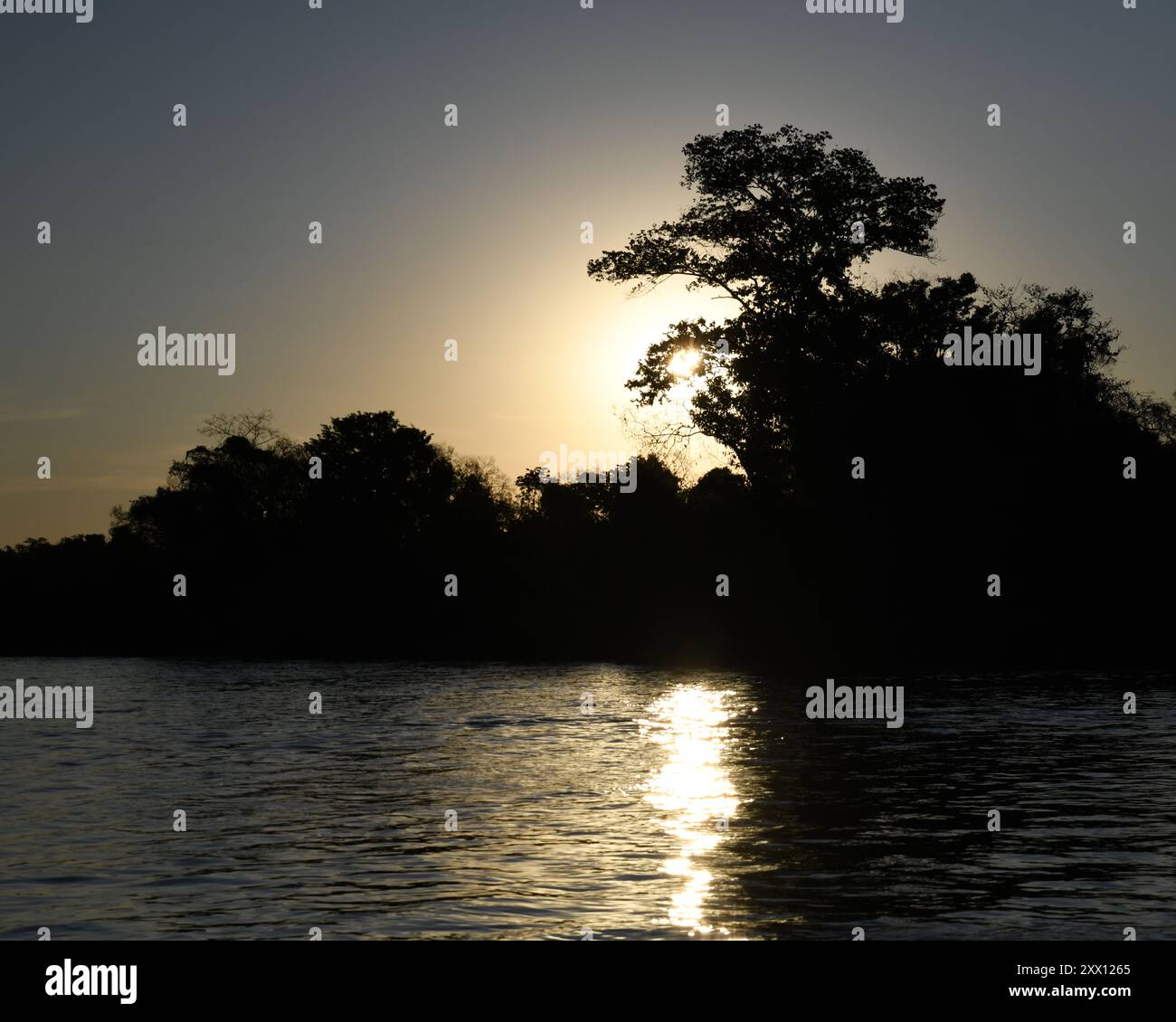 Cerrado ecosystem brazil river hi-res stock photography and images - Alamy