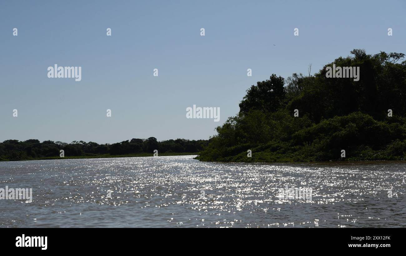 The Cuiaba river in the Pantanal, Brazil Stock Photo - Alamy