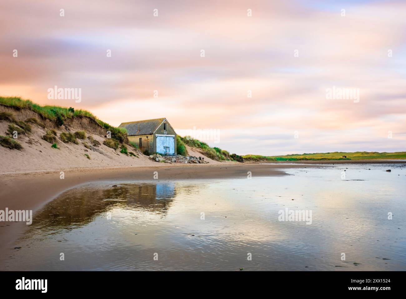 Seals scotland beach hi-res stock photography and images - Alamy