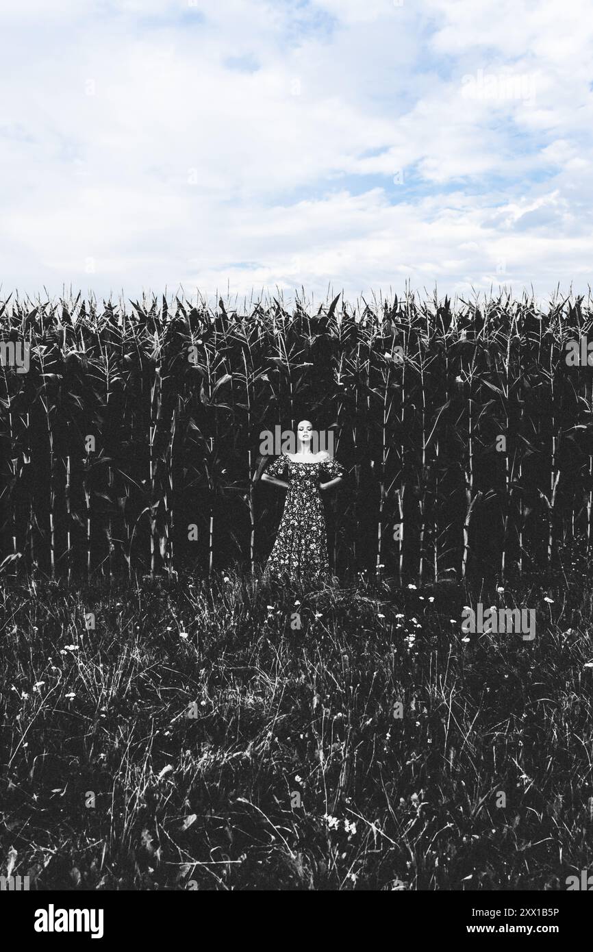 Black and white image of a beautiful woman standing amidst tall corn ...