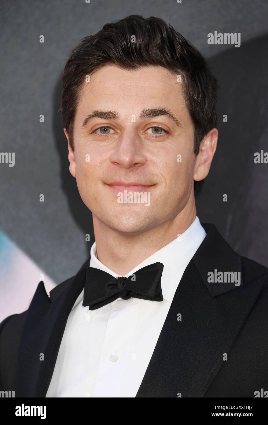 HOLLYWOOD, CALIFORNIA - AUGUST 20: David Henrie attends the Los Angeles ...