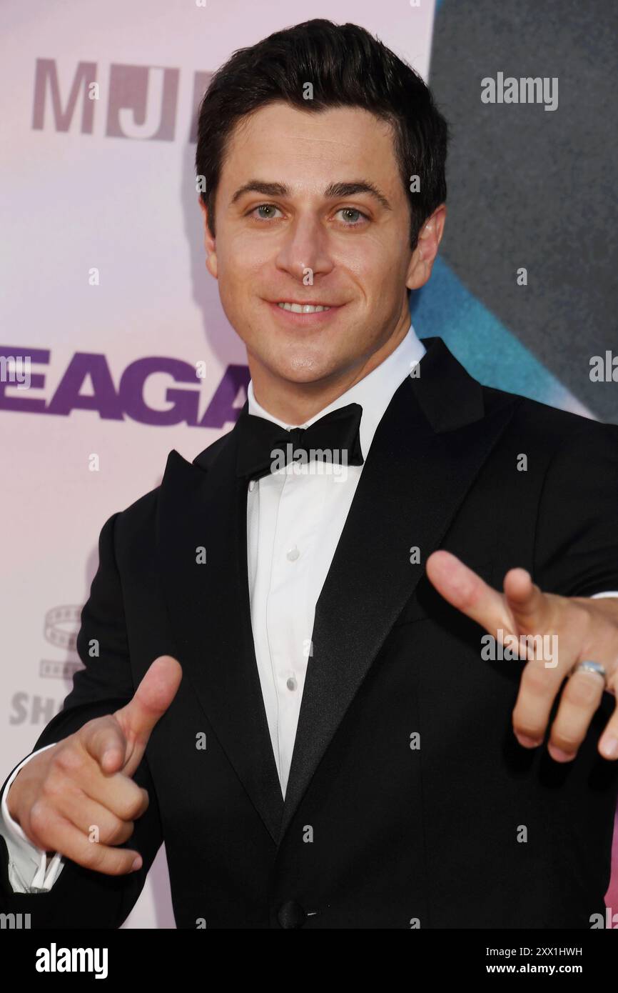 HOLLYWOOD, CALIFORNIA - AUGUST 20: David Henrie attends the Los Angeles ...