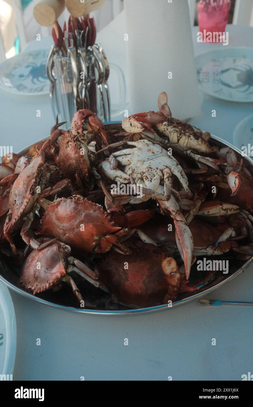 Fresh cooked Maryland blue crabs on a table Stock Photo - Alamy