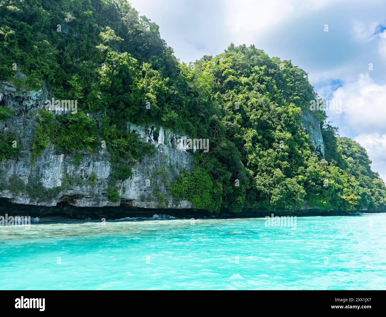 Example of the thick foliage and undercut islets, Palau, Micronesia ...