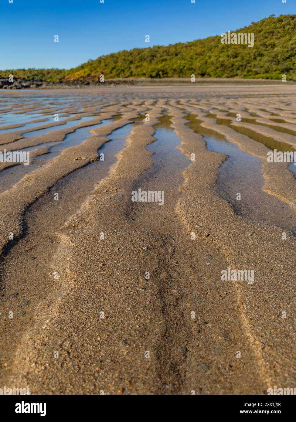 Tide pool formed low hi-res stock photography and images - Alamy