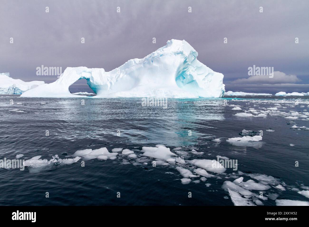 Icebergs near the Antarctic Peninsula during the summer months ...