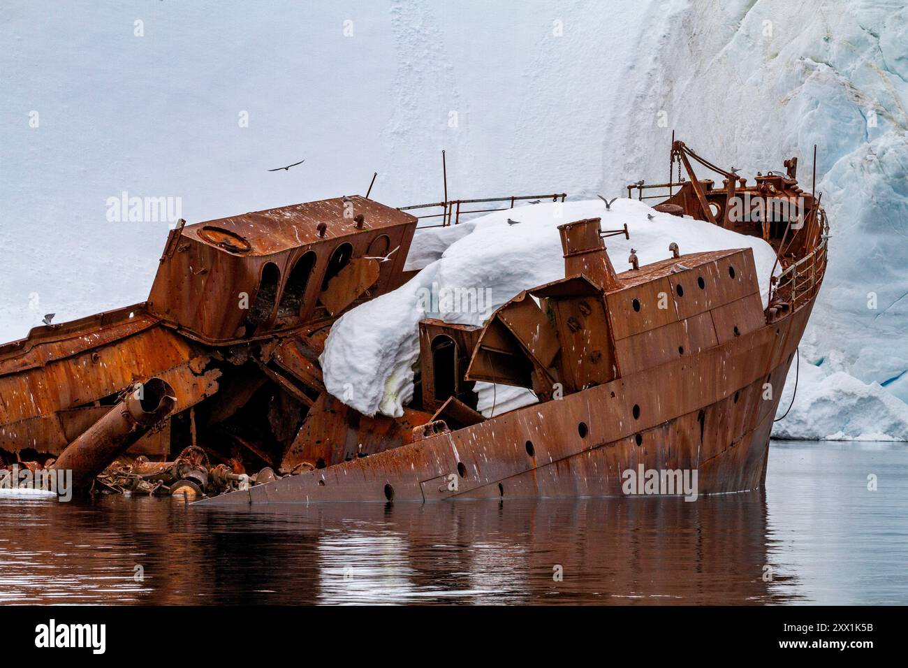 Views of the wreck of the Guvernoren, a 20th century whale processing ...