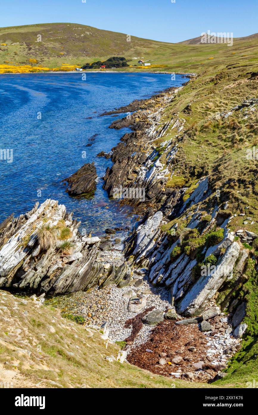 View of the McGill sheep farm on Carcass Island in Port Patterson in ...
