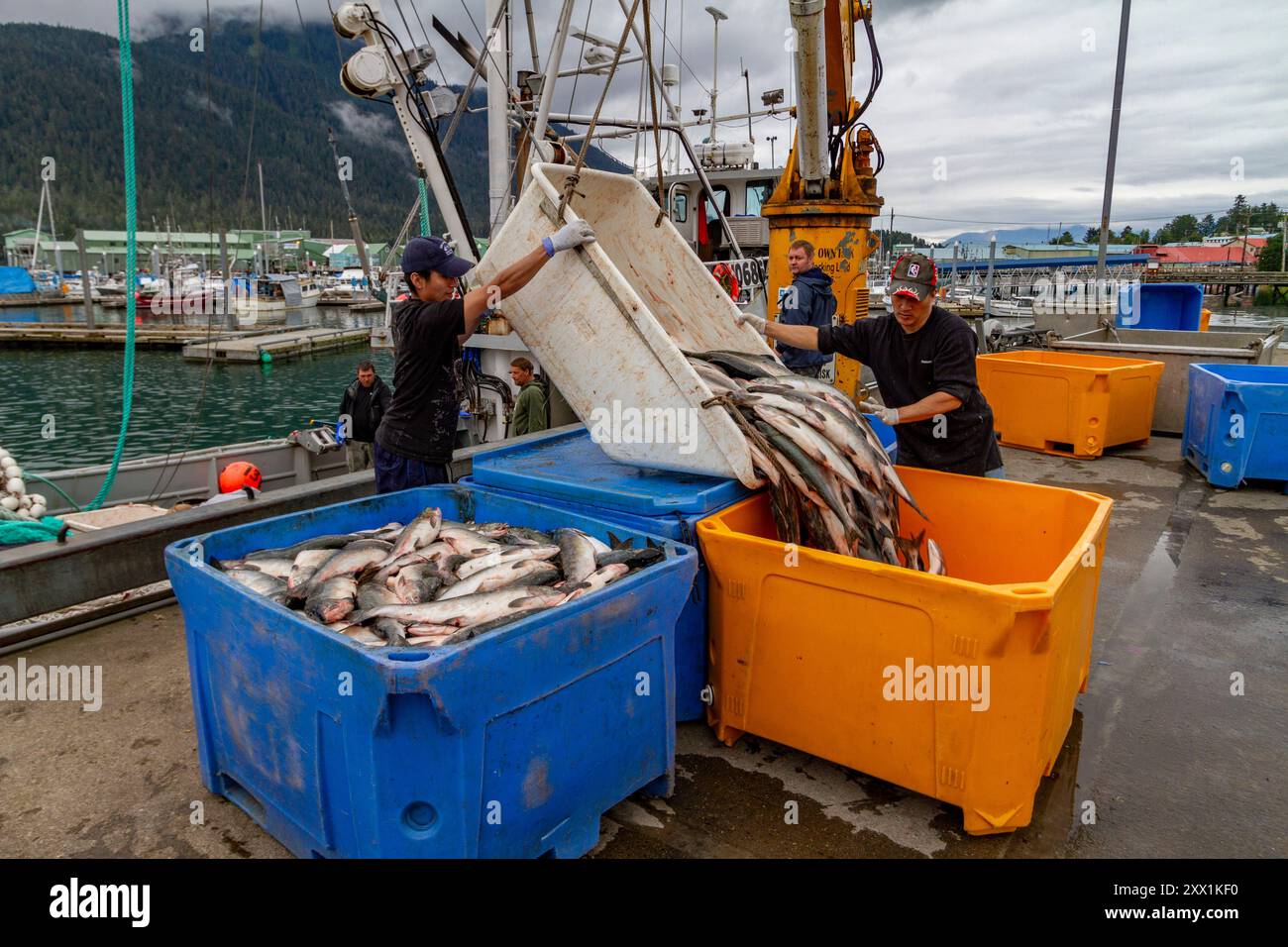 Local catch alaska hi-res stock photography and images - Alamy