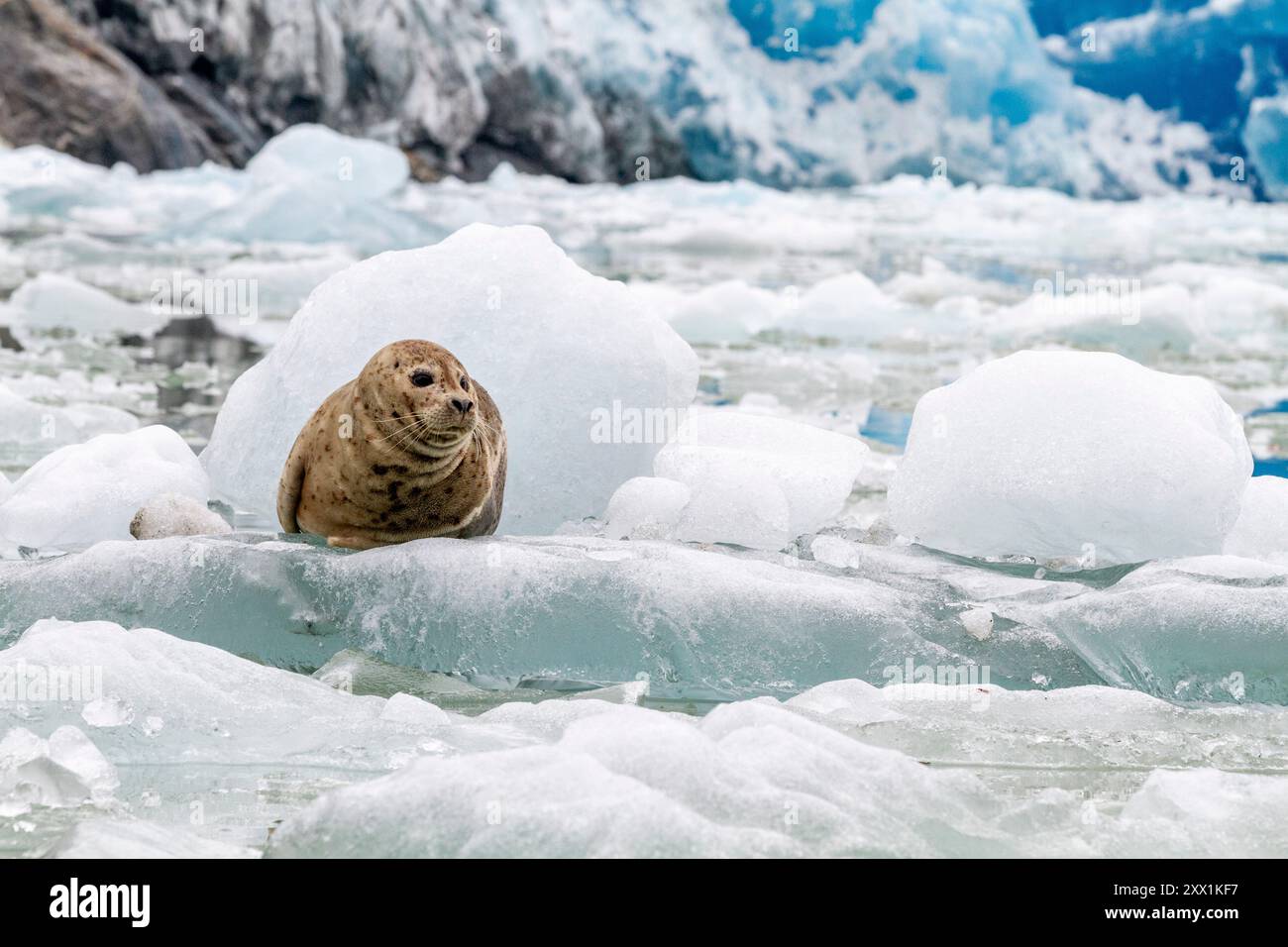 North sea ice on hi-res stock photography and images - Alamy