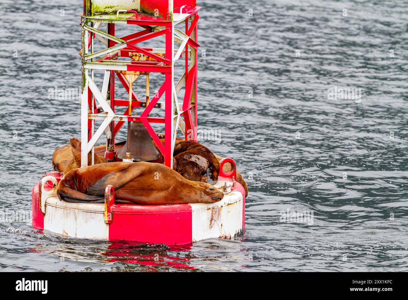 Ocean observation buoy hi-res stock photography and images - Alamy
