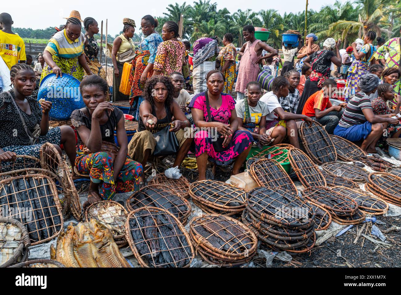 Dry fish for sale on a Market, Mbandaka, Equateur province, Democratic ...