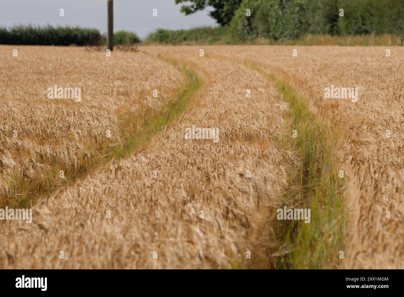 Tractor path hi-res stock photography and images - Alamy