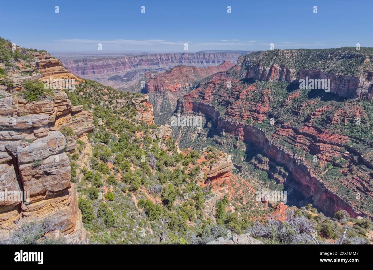 Cliff views from the edge of Naji Point on the North Rim of Grand ...