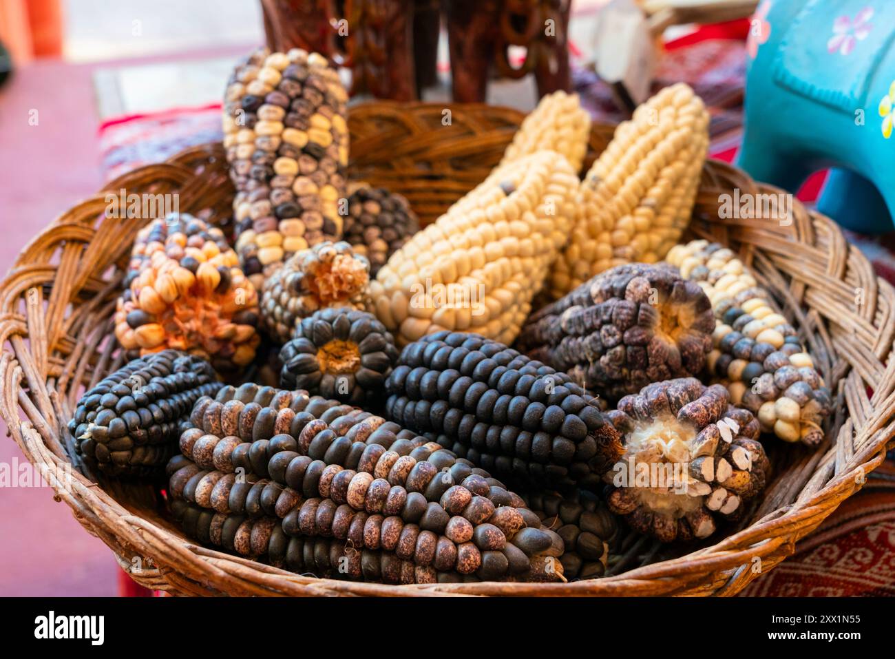 Different types of corn, Chinchero, Sacred Valley, Urubamba Province ...