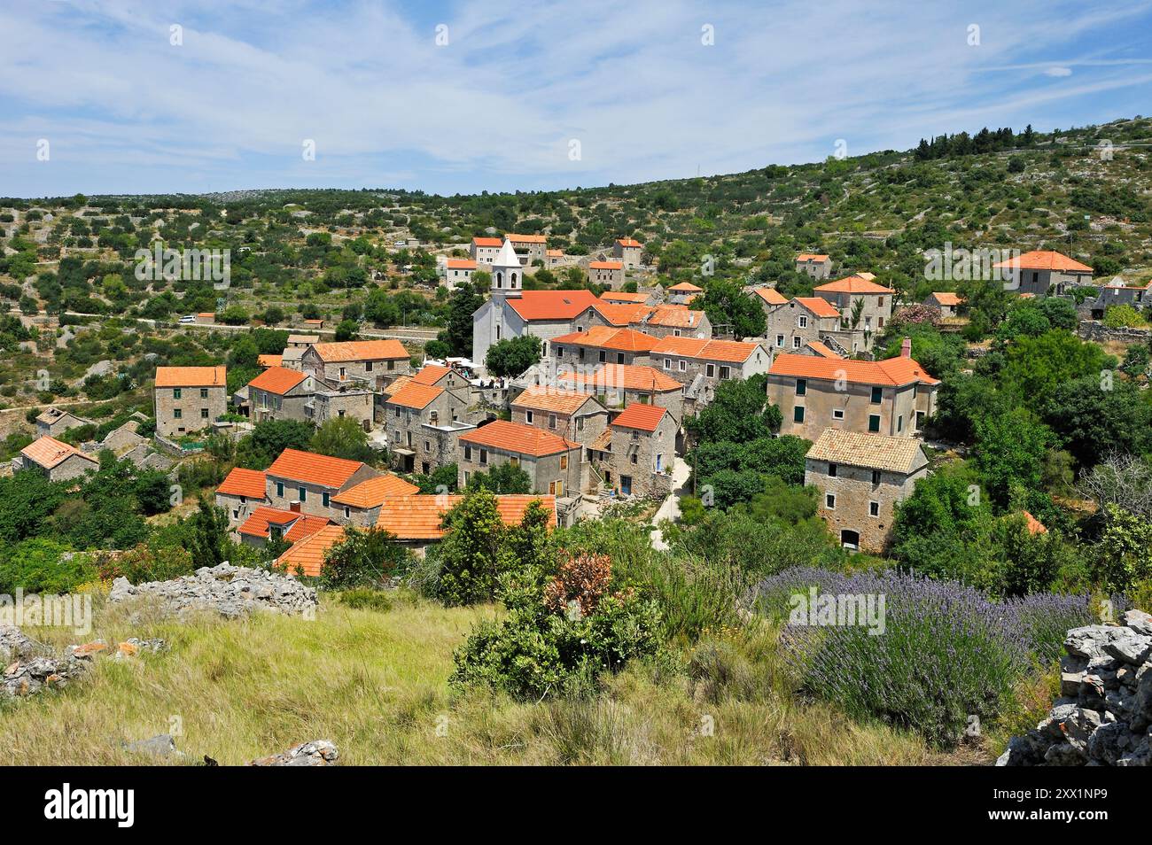 Village of Velo Grablje, Hvar island, Croatia, Southeast Europe Stock ...