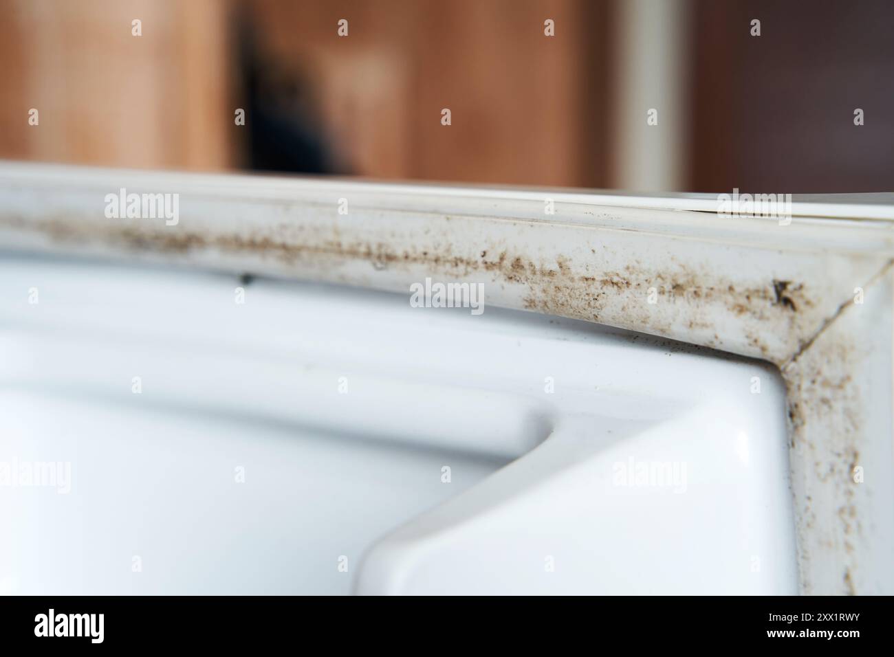 Terrible unhealthy mold on the elastic band of the home refrigerator ...