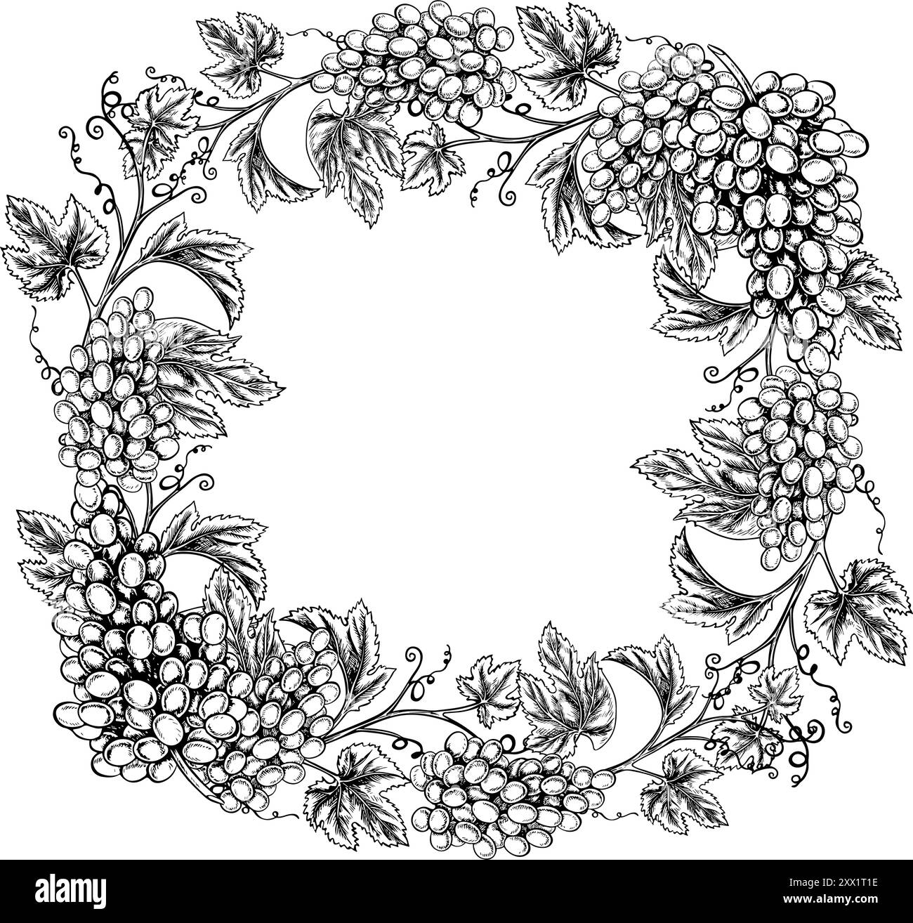 The frame is a round wreath with vines and bunches of grapes. Vector ... The frame is a round wreath with vines and bunches of grapes. Vector ...