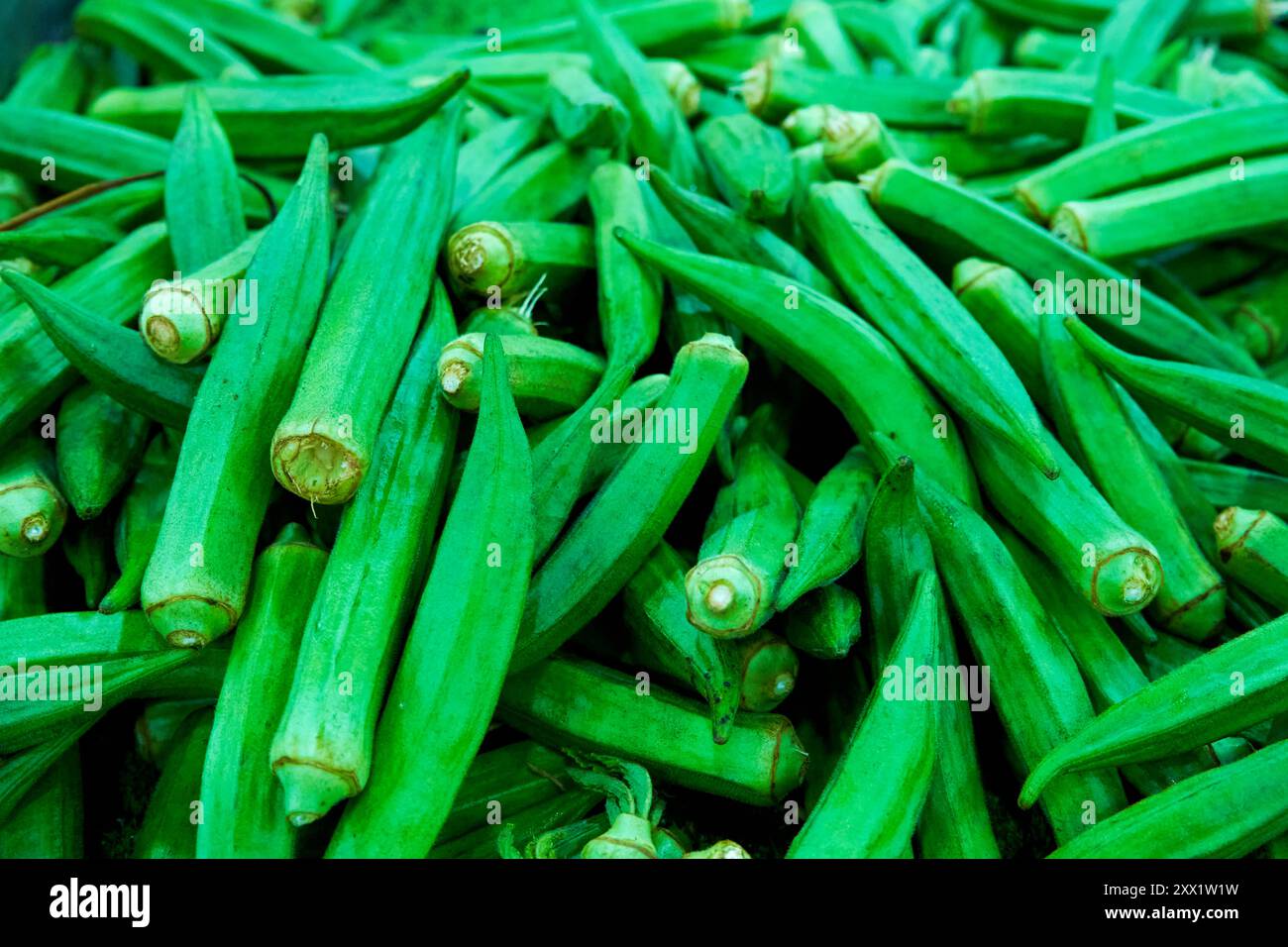 An assortment of fresh okras or ladyfingers in an Asian supermarket ...