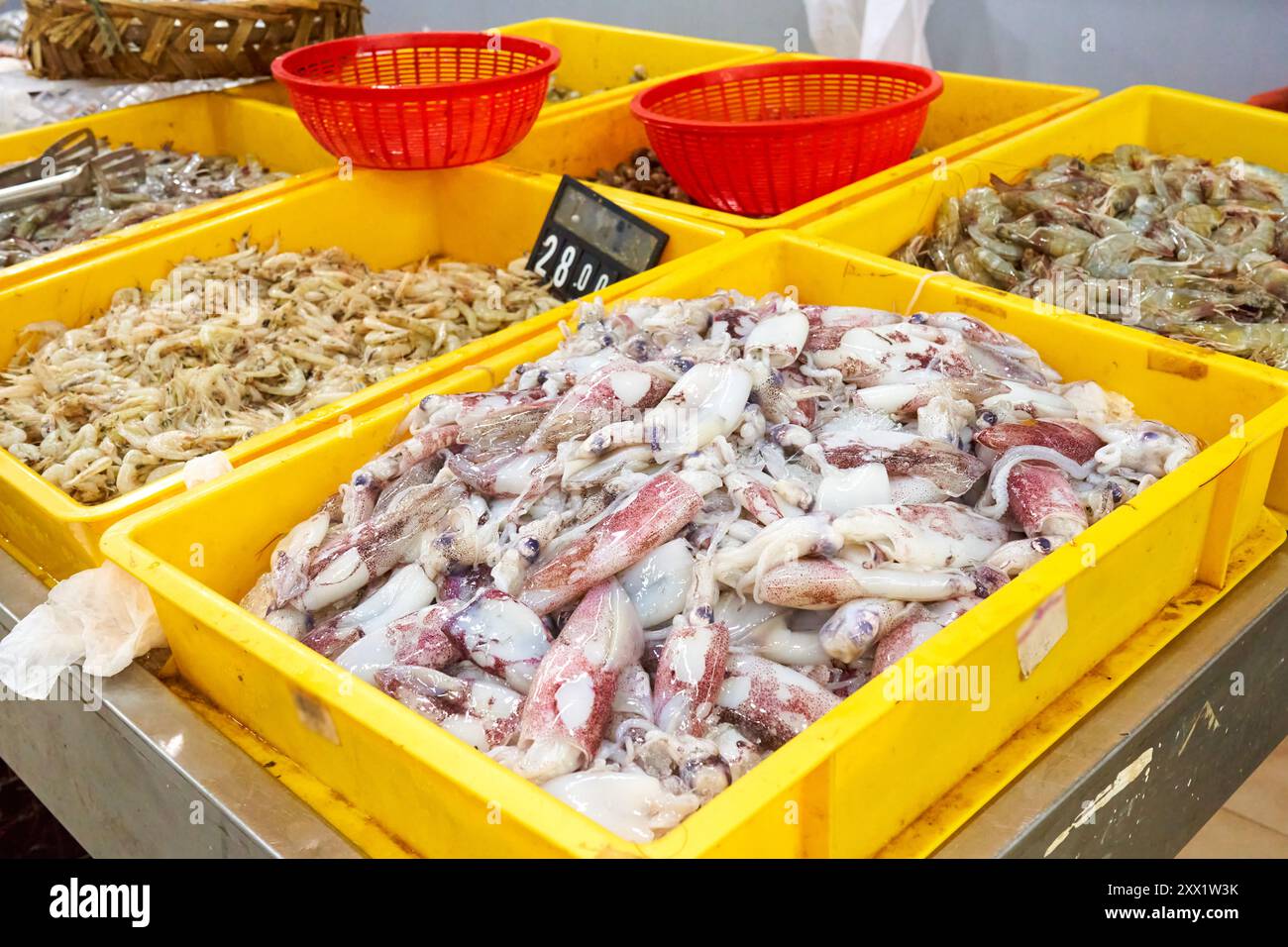Seafood assortment in an Asian supermarket. Fresh squid and shrimp of ...